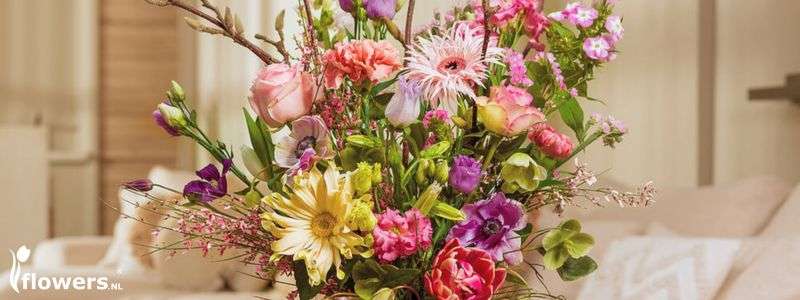 Spring Flowers Guide: Types, Care Tips & Meaning | Flowers.nl