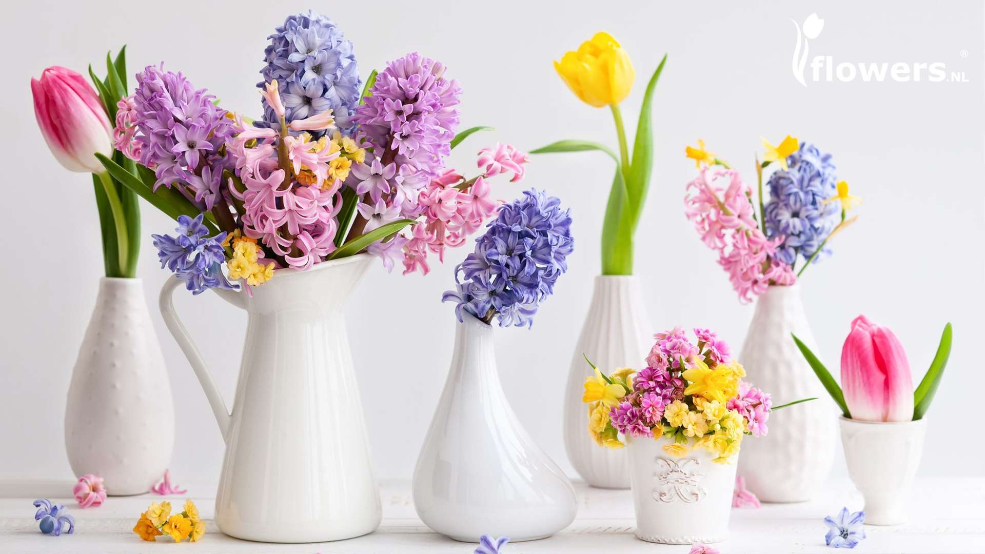 Spring Flowers Guide: Types, Care Tips & Meaning | Flowers.nl