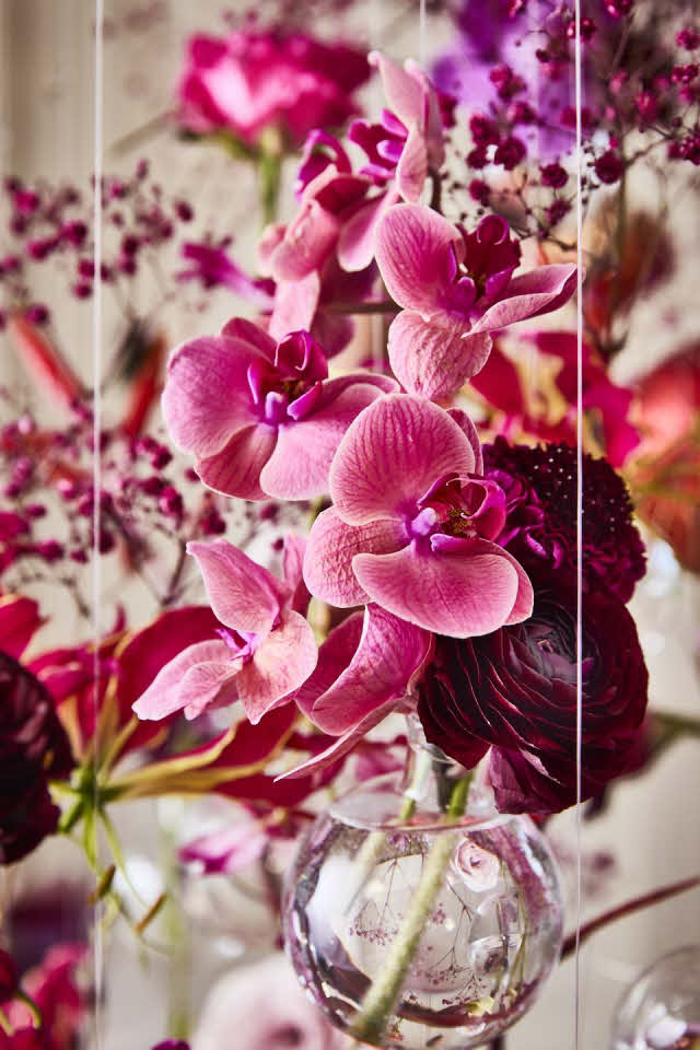 DIY: Hanging Christmas Flower Tree - Flowers.NL®