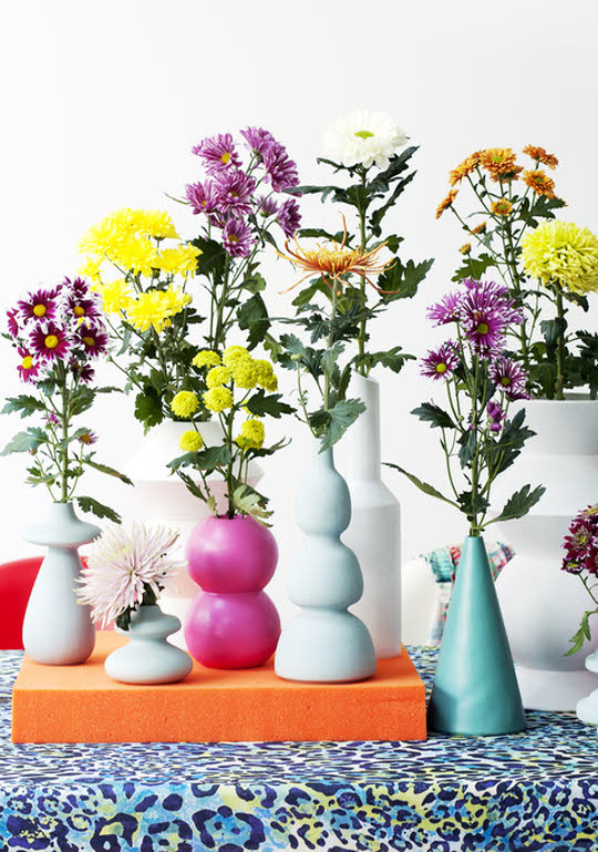 Chrysant - Verzorgingstips - Flowers.NL