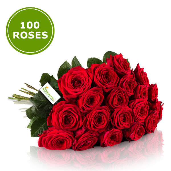 Bouquet 100 Long-stem red Roses | Superior Quality | Daily Fresh