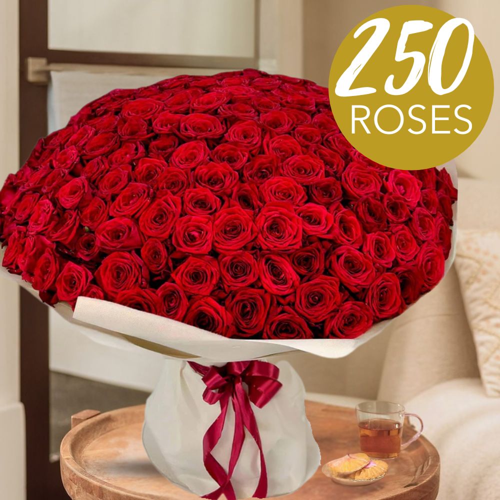 250 Long-stem red Roses - Order & Send