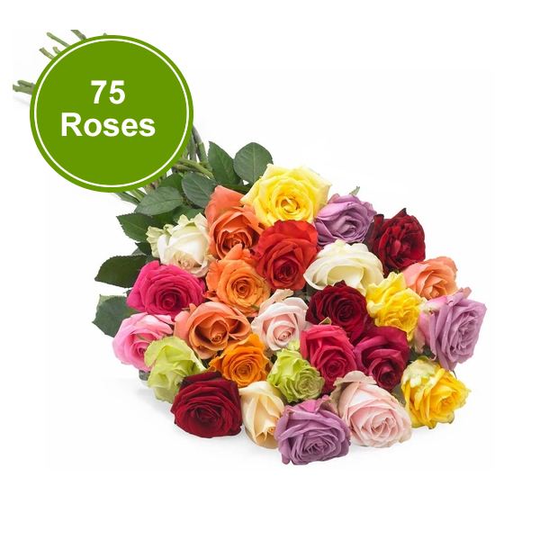 75 Mixed colored Roses | Freshness guarantee | Flowers.NL®