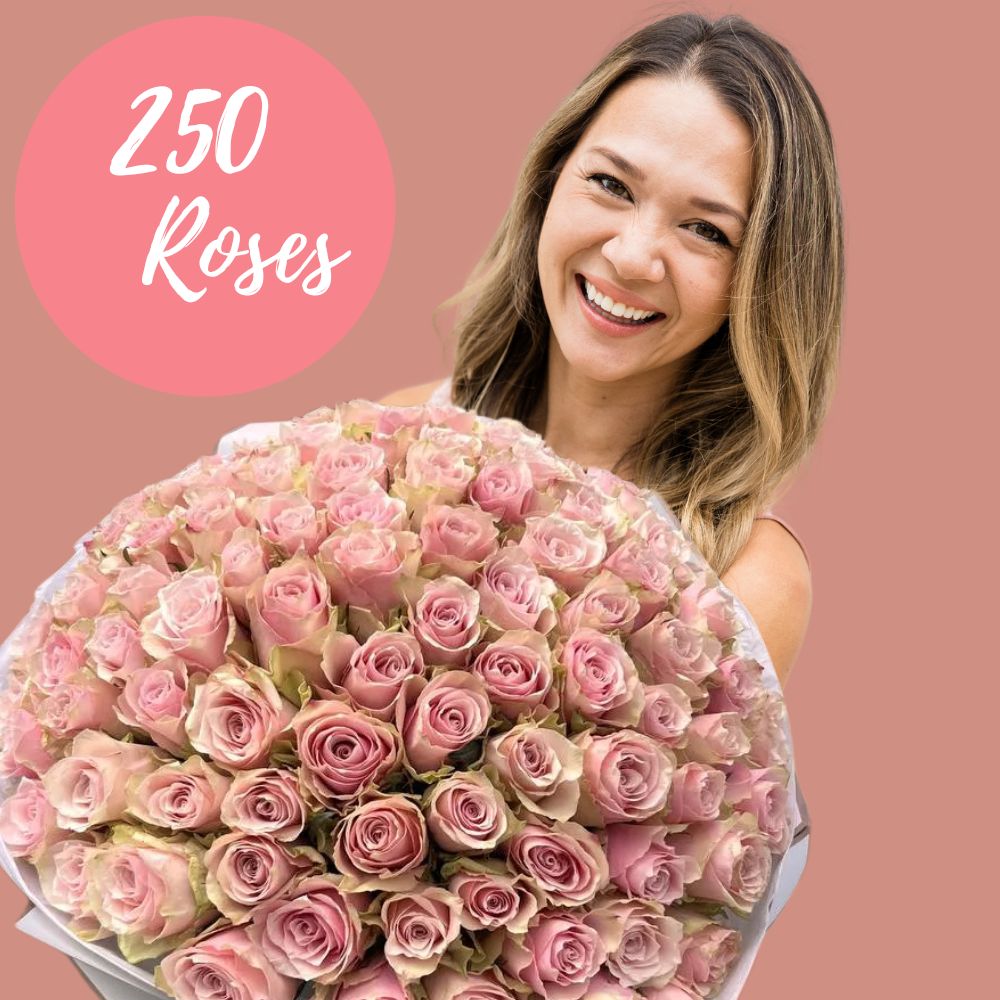 Pink Roses Pink Roses Personal & Meaningful Gifts English Roses