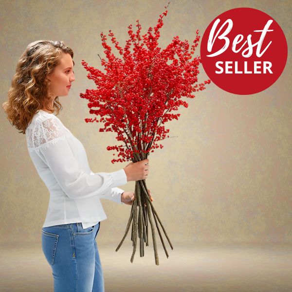 Red Ilex Branches Bouquet - Flowers.NL