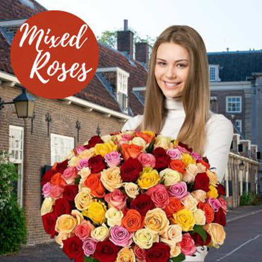 Send Mixed Roses - Amsterdam - Rotterdam - The Hague - Flowers.NL®