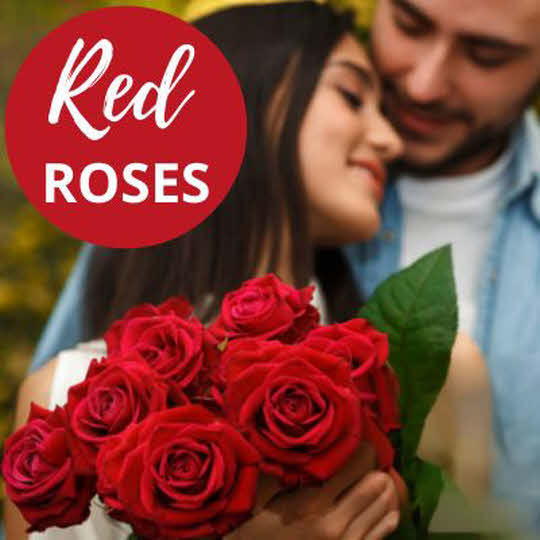 Send Red Roses - Amsterdam - Rotterdam - The Hague - Flowers.NL®