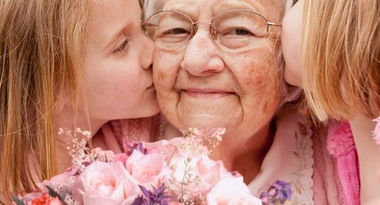 Beautiful flowers for Grandma in The Netherlands - Flowers.NL